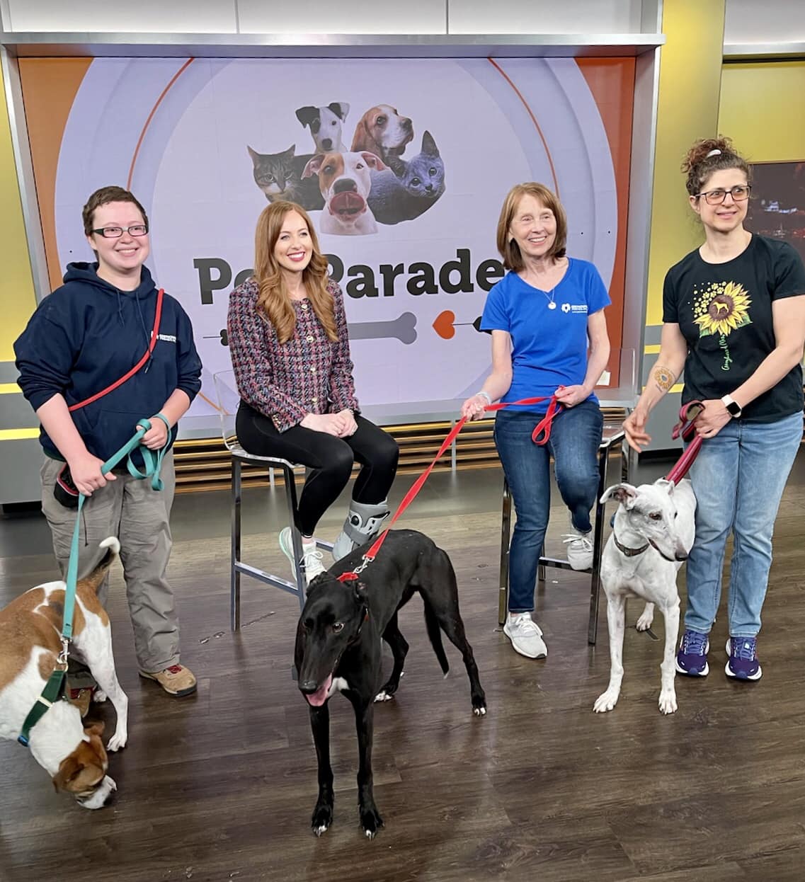 Home — Greyhound Friends, Inc.