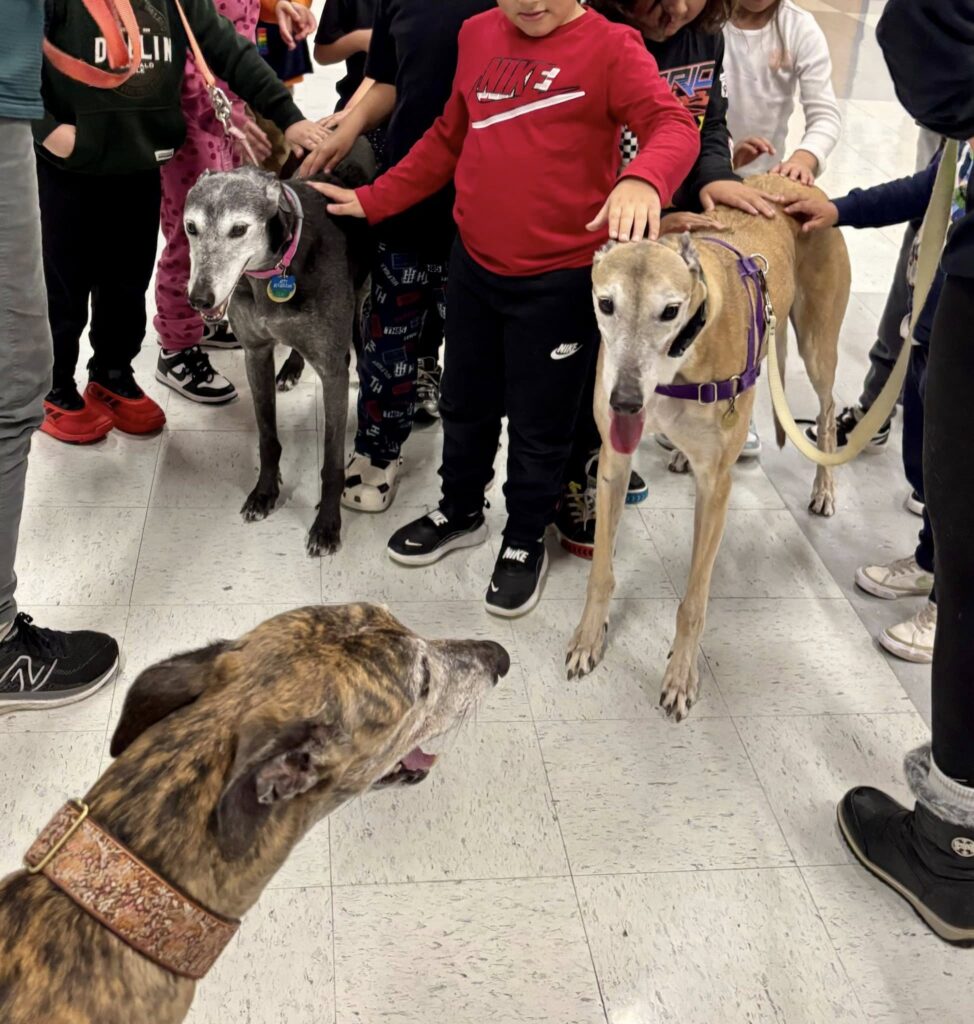 Home — Greyhound Friends, Inc.